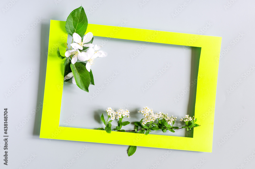Color frame decorated with color flowers on a light background of kopi ...