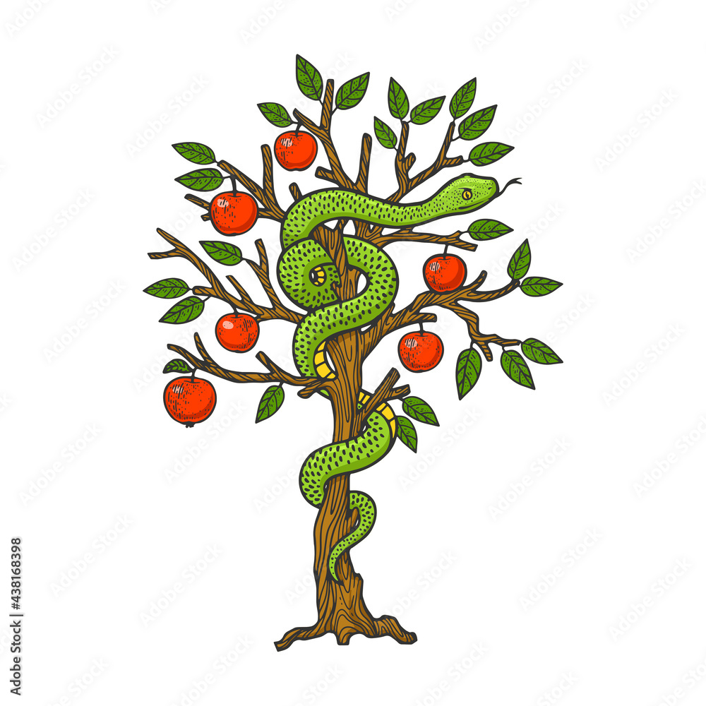 biblical serpent snake on apple tree color line art sketch engraving ...