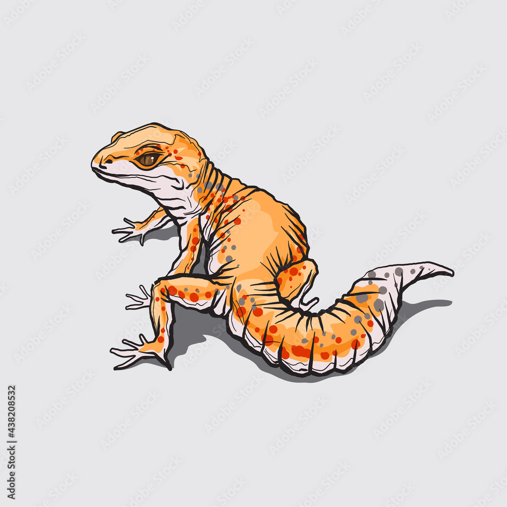 Gecko lizard animal. Reptile in natural wildlife isolated in white ...