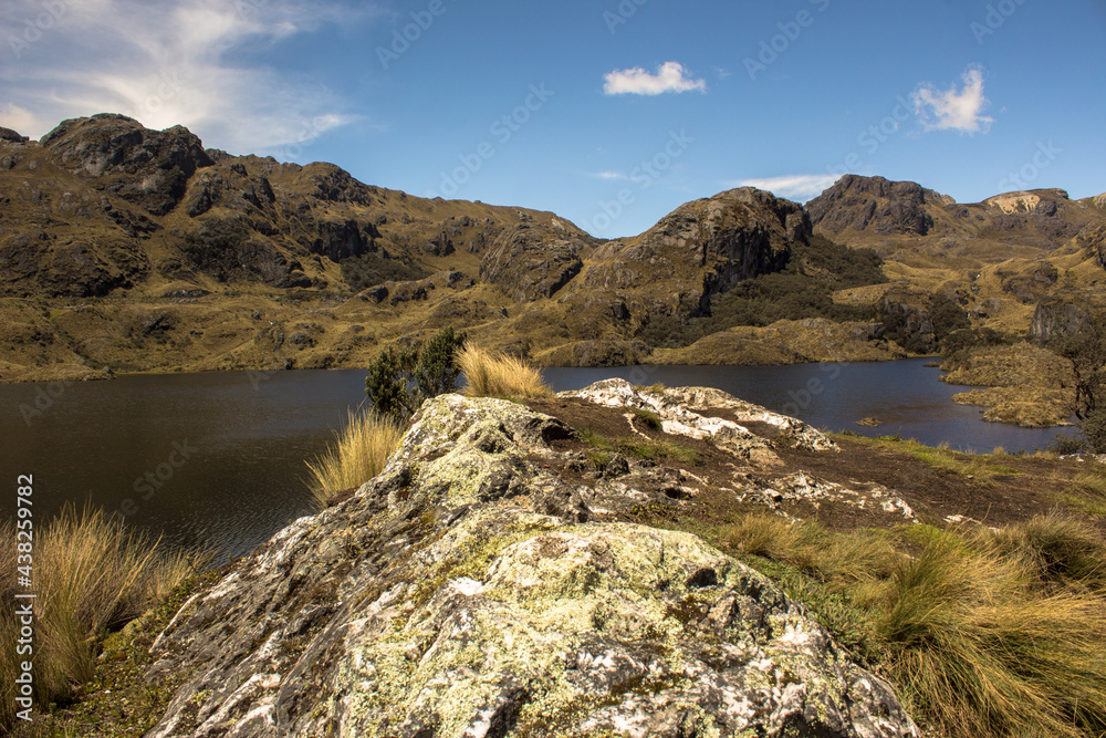 paramos andinos del parque nacional El Cajas en Cuenca - Ecuador Stock ...