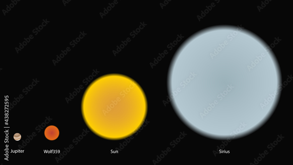 Stars sizes comparison. Comparison of different stars sizes vector ...