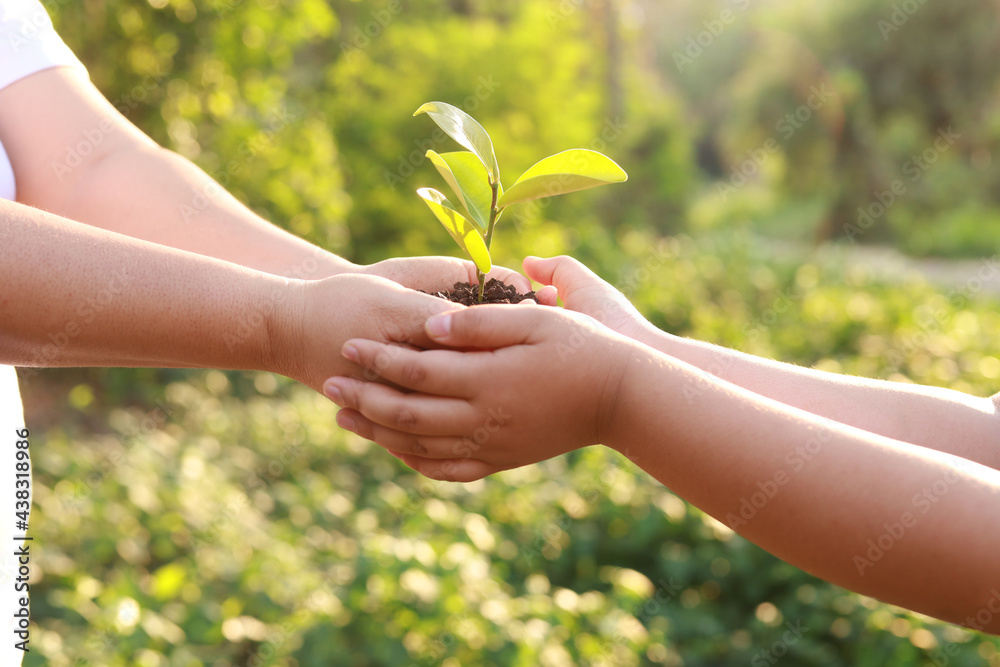 Woman's hand holding a tree to children, tree planting campaign concept ...
