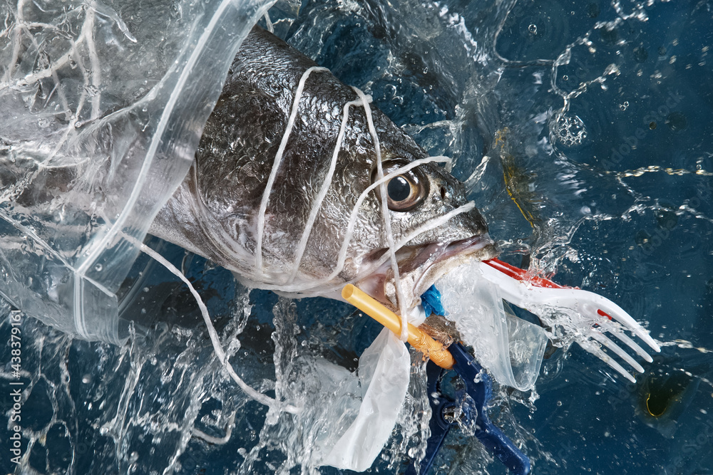 Falling sea fish with plastic garbage. Plastic waste environmental ...