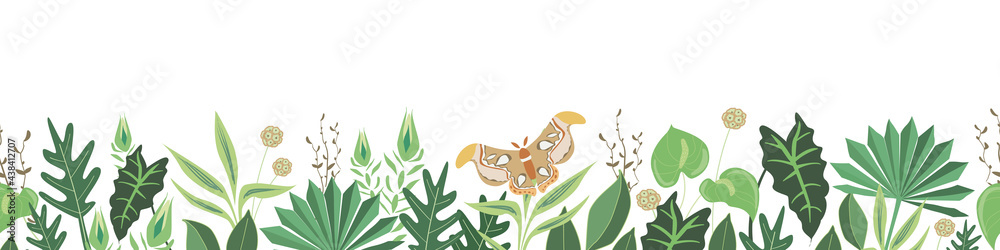 Vector seamless border of rainforest plants foliage and atlas moth ...