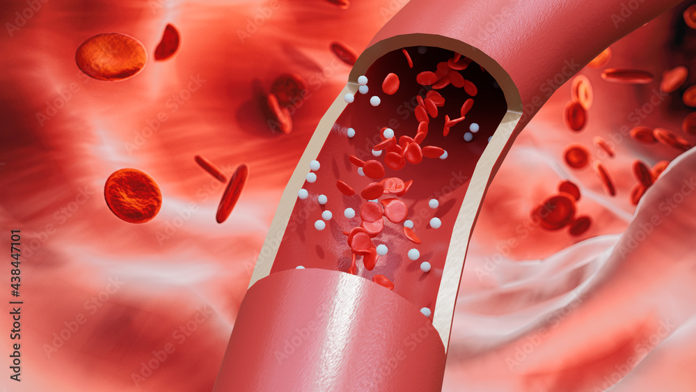 Red blood cells and white blood cells flow through the large blood ...