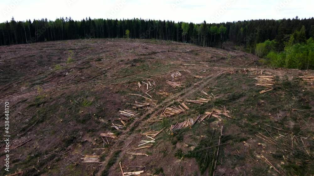 Arial view of deforestation and illegal logging in forest. Cutting ...