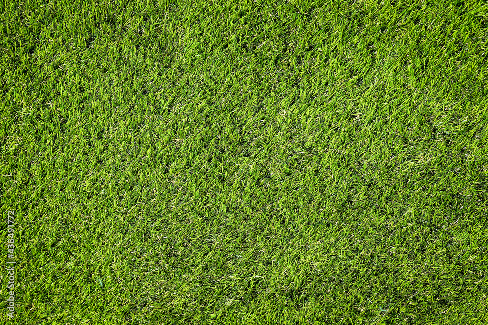 arrière plan texture pelouse verte parfaite Stock Photo | Adobe Stock
