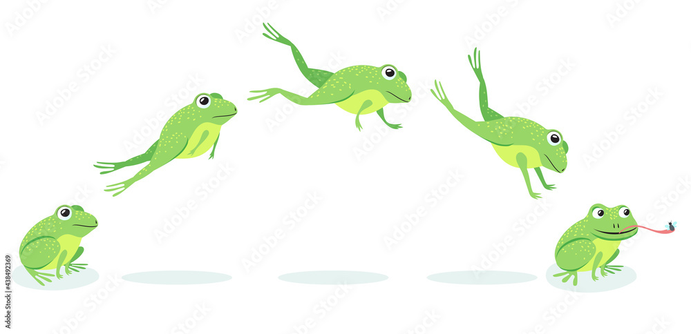 Animated process of frogs leaps sequence. Cartoon toad jumping for prey ...