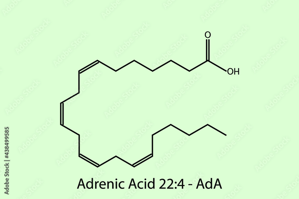 Adrenic Acid - Omega 6 biomolecule molecular formula. Skeletal molecule ...