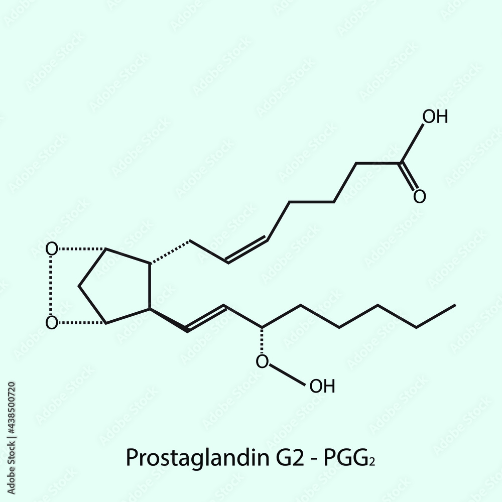 Prostaglandin G2 - Prostaglandin biomolecule molecular formula ...