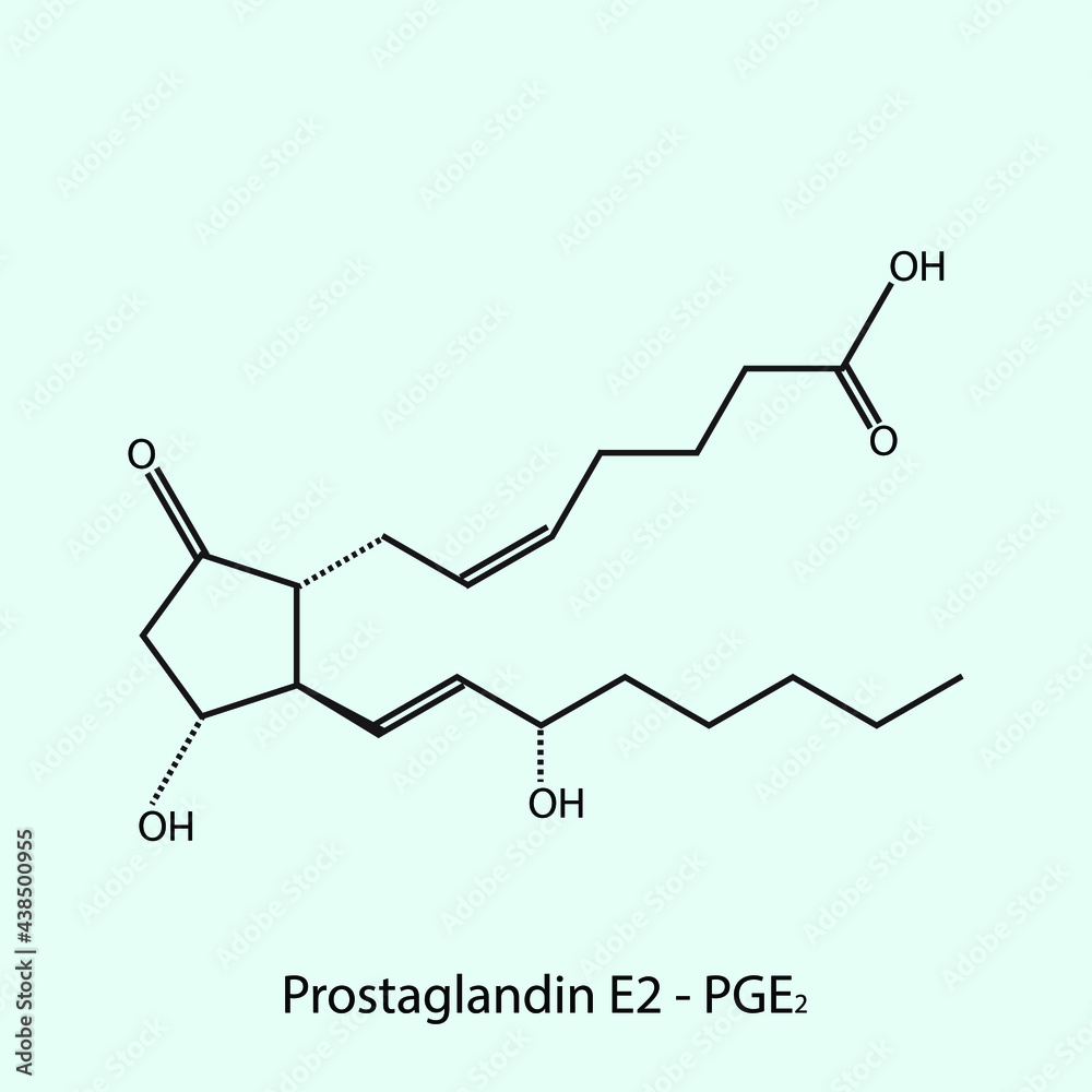 Prostaglandin E2 - Prostaglandin biomolecule molecular formula ...