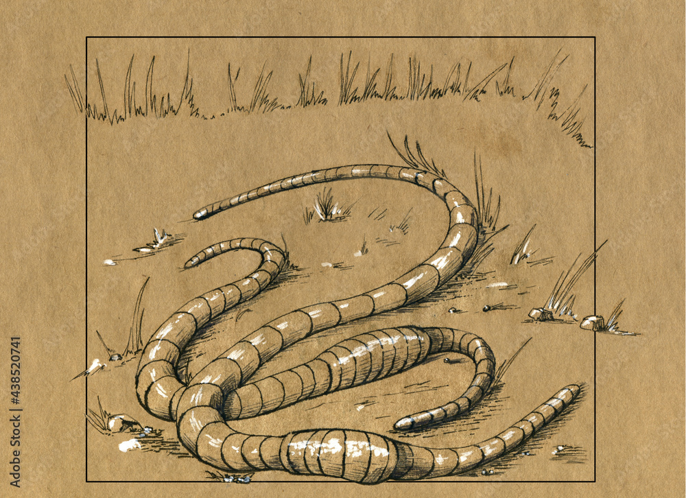 Simple line drawing of two earthworms on brown paper. Stock ...