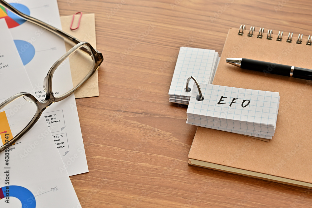 There is a word book with the word of EFO which is an abbreviation for ...