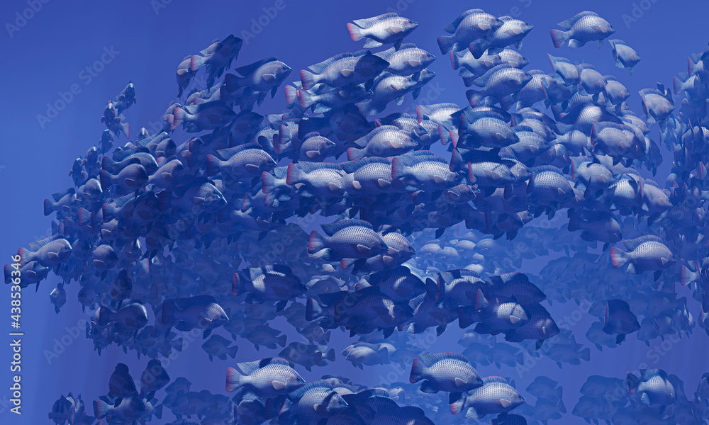 Flocks of fish swim in groups, the underwater circle is shining down ...