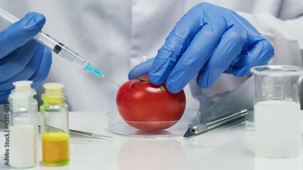 Medical scientist specialist wearing protective uniform injecting ...