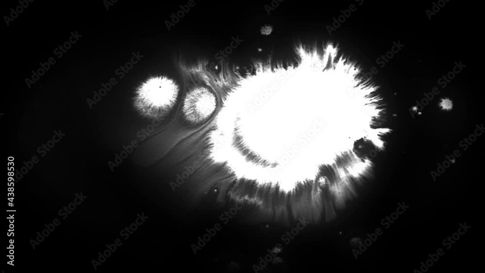 Beautiful pure white watercolor ink drops transition on black ...