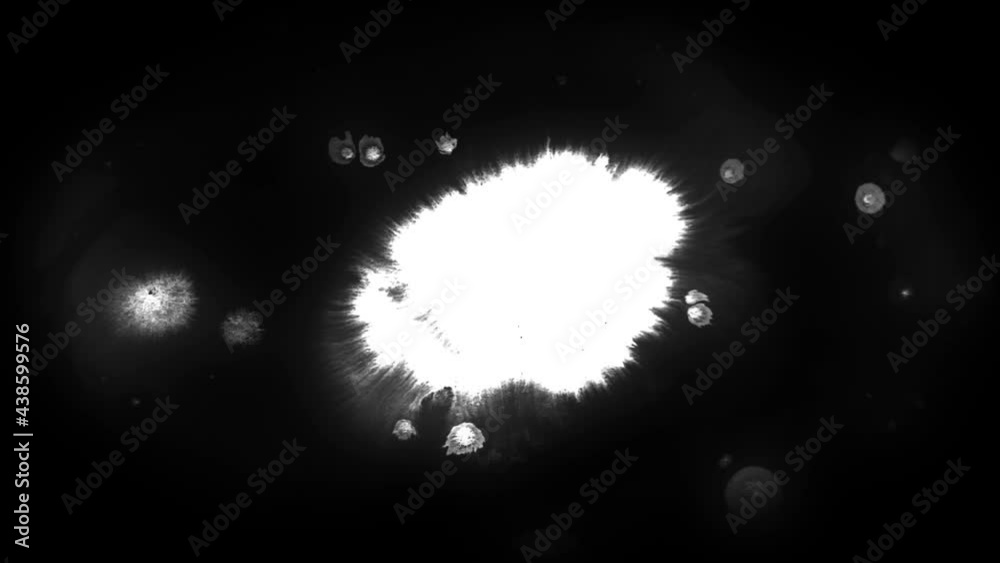 Beautiful pure white watercolor ink drops transition on black ...