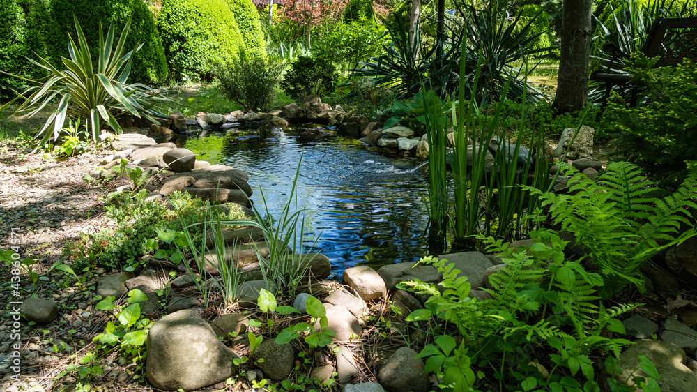 Beautiful small garden pond with frog-shaped fountain against backdrop ...
