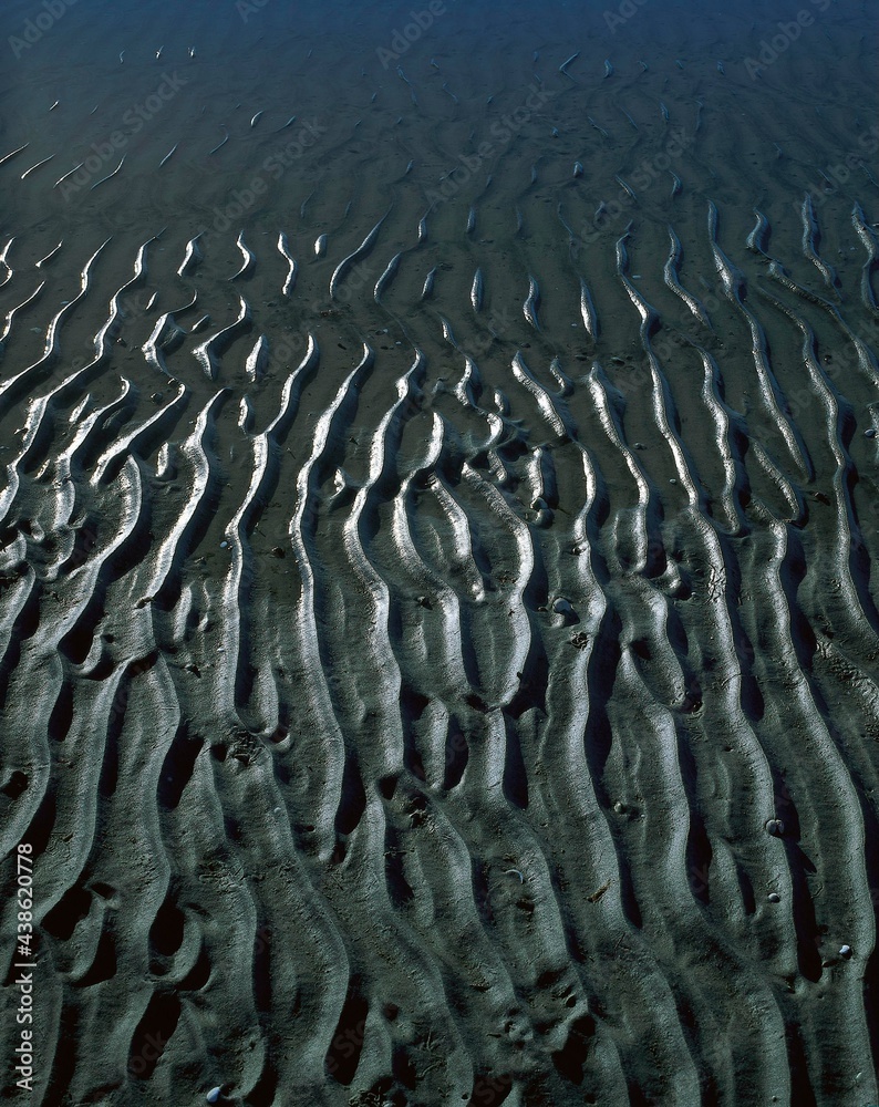 sea, low tide, mudflat, detail, ripple marks, tide, sand, sandy beach ...