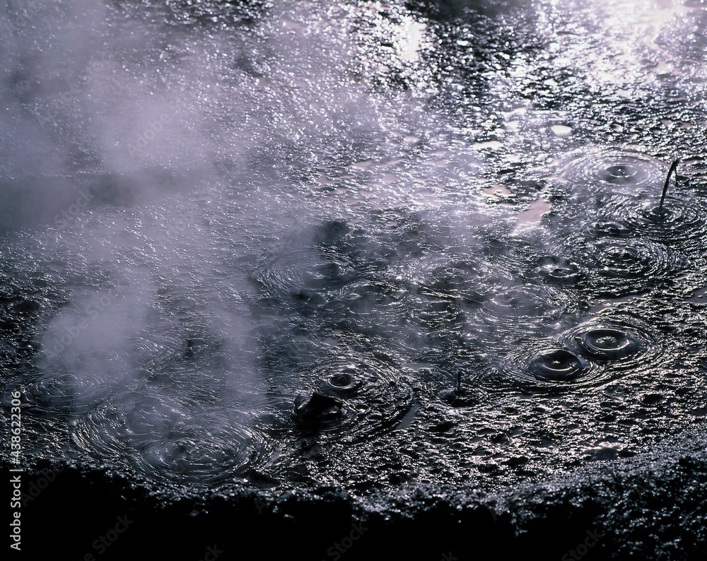 new zealand, north island, thermal area, whakarewarewa, mud hole, hot ...