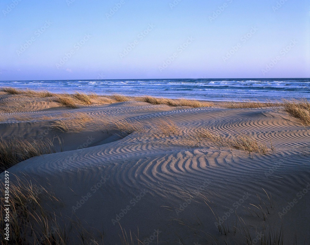 dunes, ripple marks, sea, evening light, coast, shores, dune, sand ...