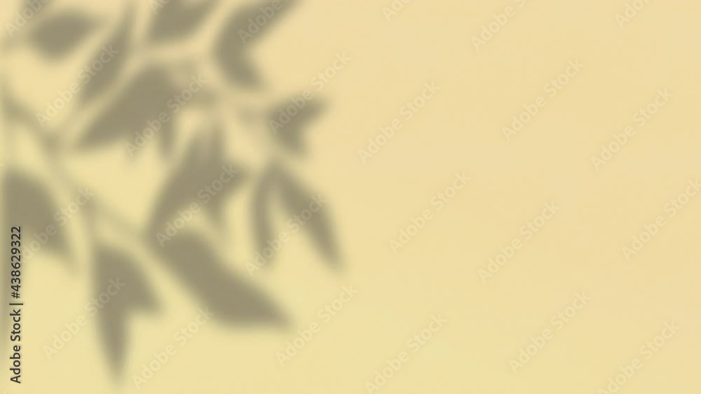 Animation of plant leaf shadows moving on cream wall background Stock ...