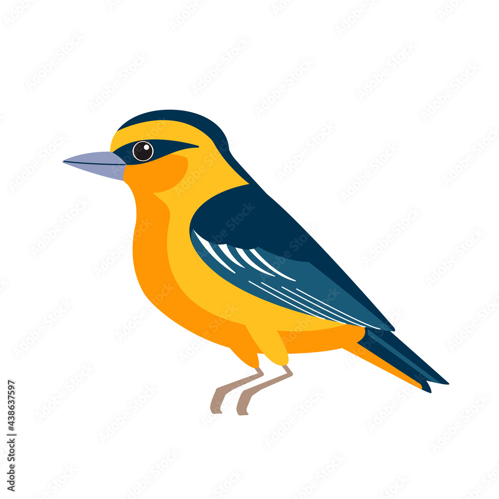 Oriole is an Old World family of passerine birds. Orange Songbird ...