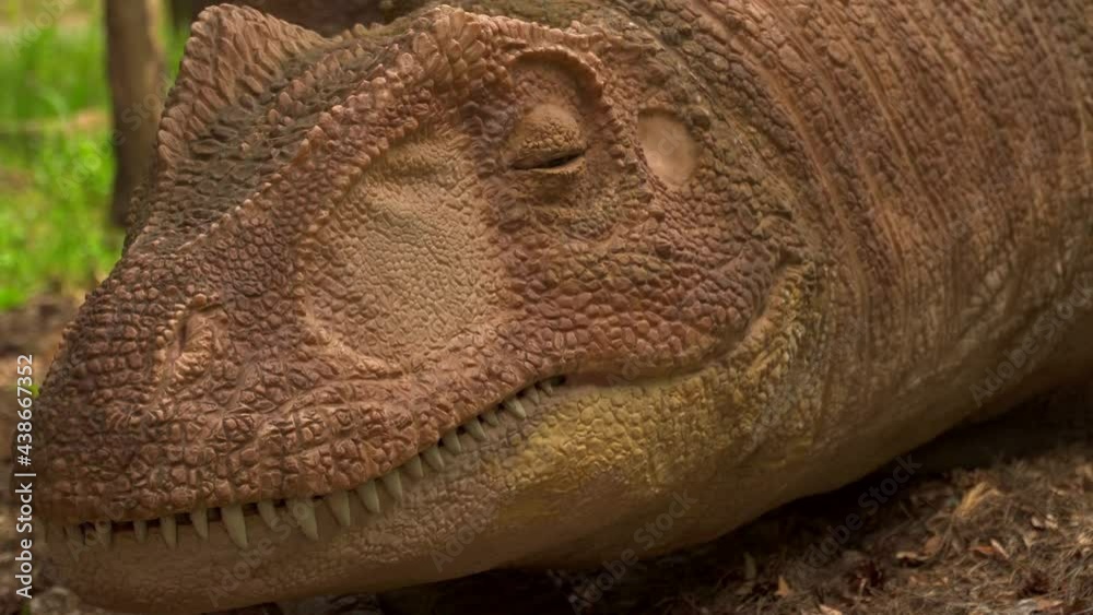 Allosaurus live dinosaur in the summer park among green trees. Breathes ...