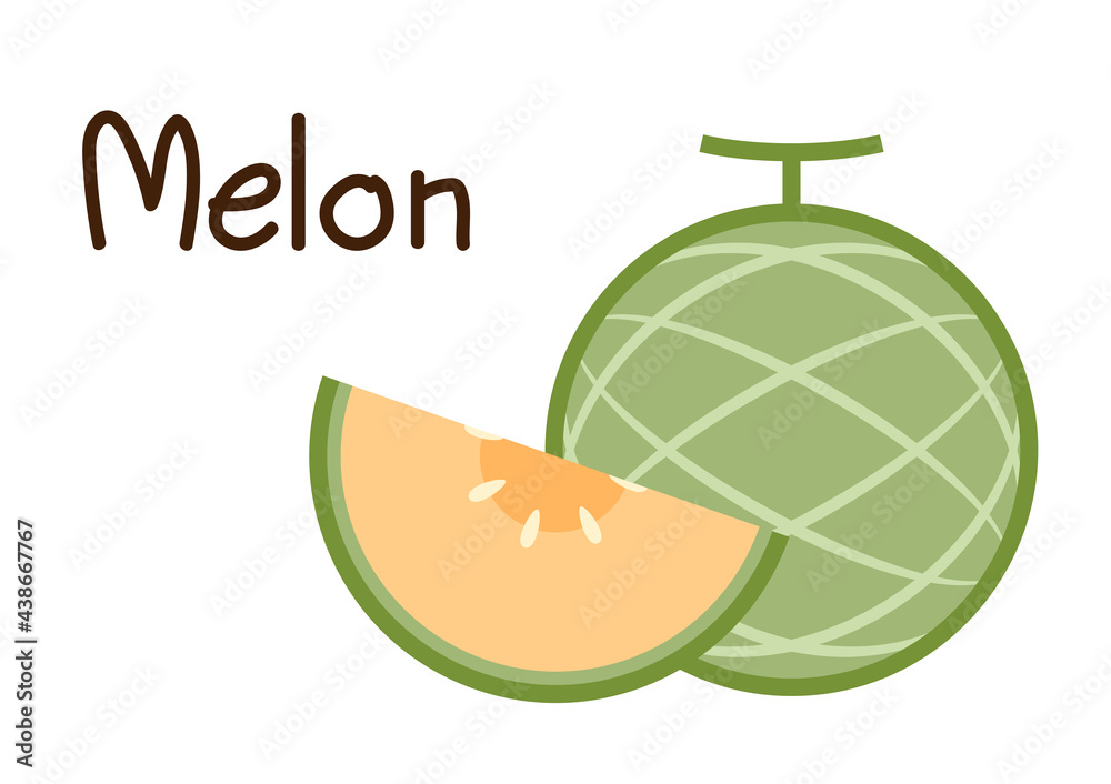 Melon vector. melon on white background. wallpaper. symbol. logo design ...