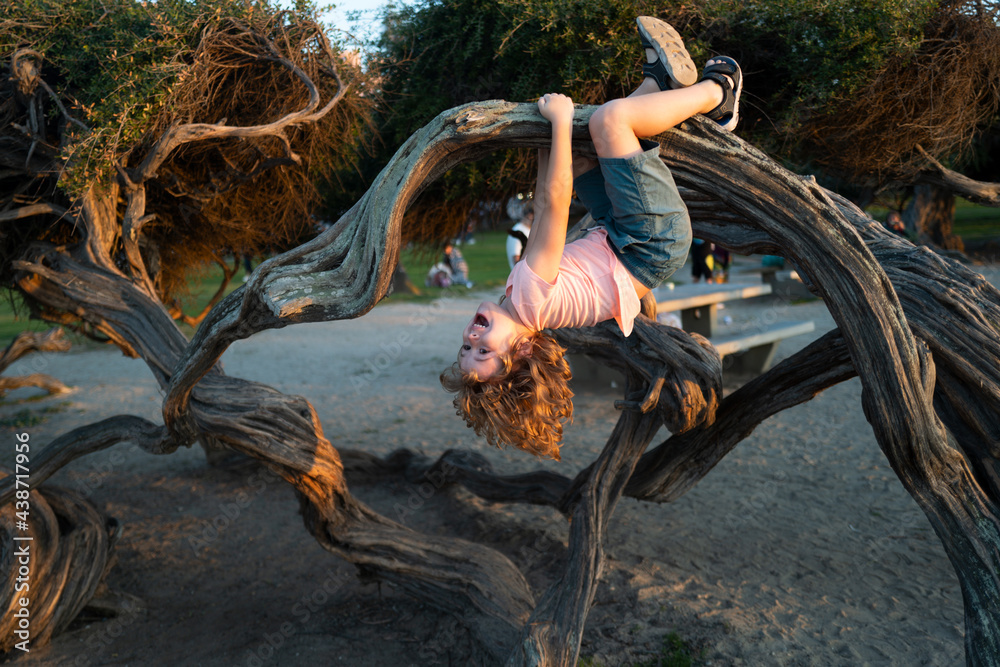 Kid climbing tree. Caucasian boy happily lying upside down in a tree ...