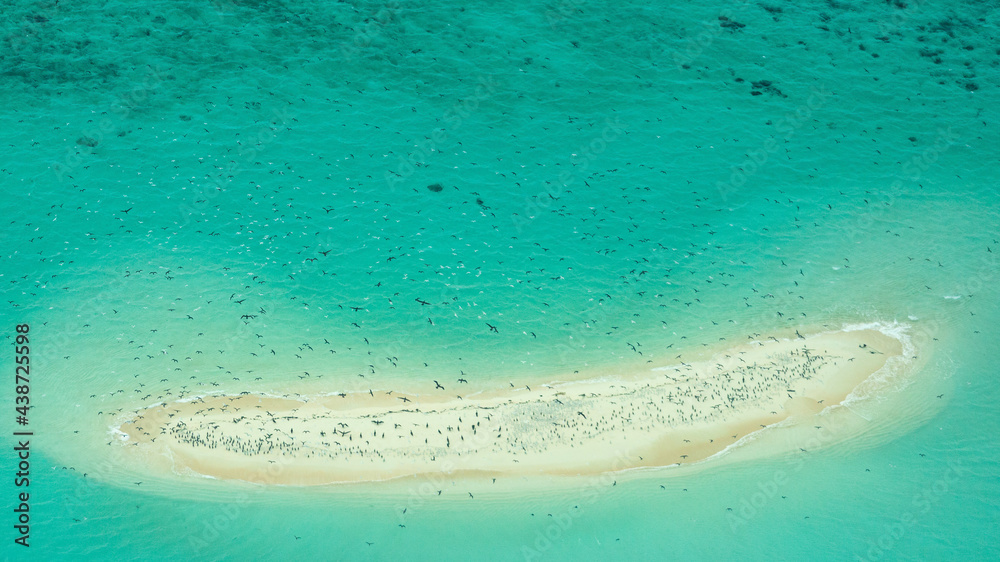 The Island of Michaelmas Island located on the Great Barrier Reef ...
