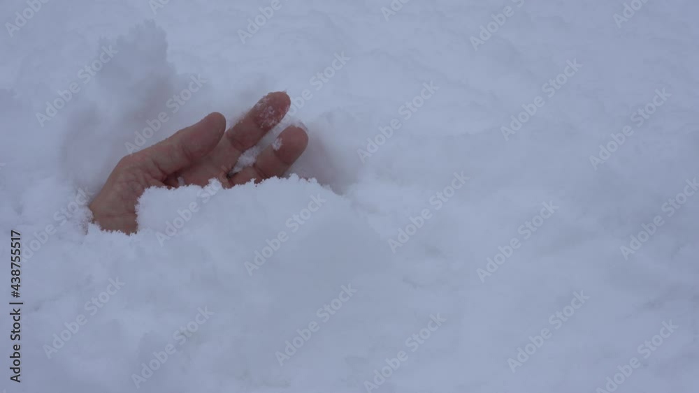 A human hand comes out of the snow after an avalanche. The person stuck ...