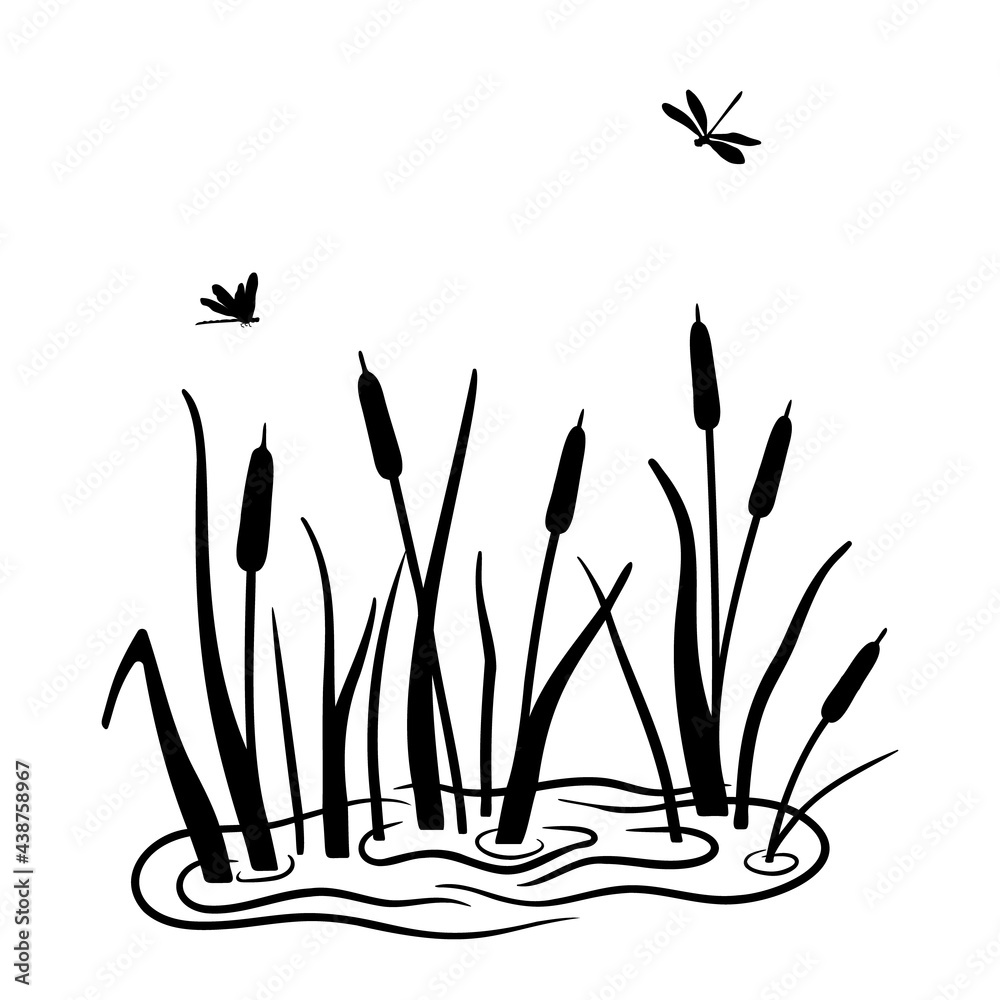 Black And White Swamp Clipart