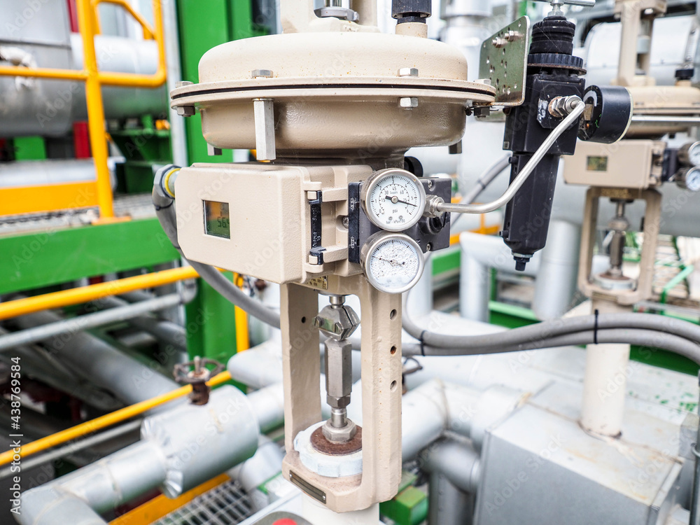 Control valve for control flow and pressure of process condition such ...