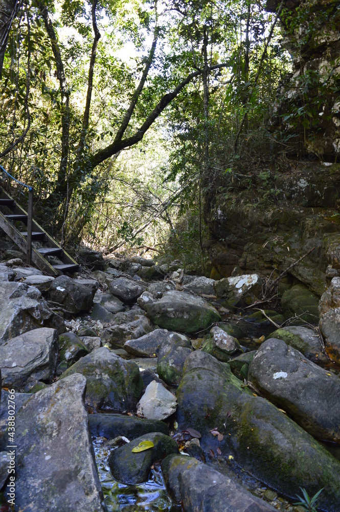 Trilha pelas pedras em mata fechada e escada de madeira para auxiliar ...