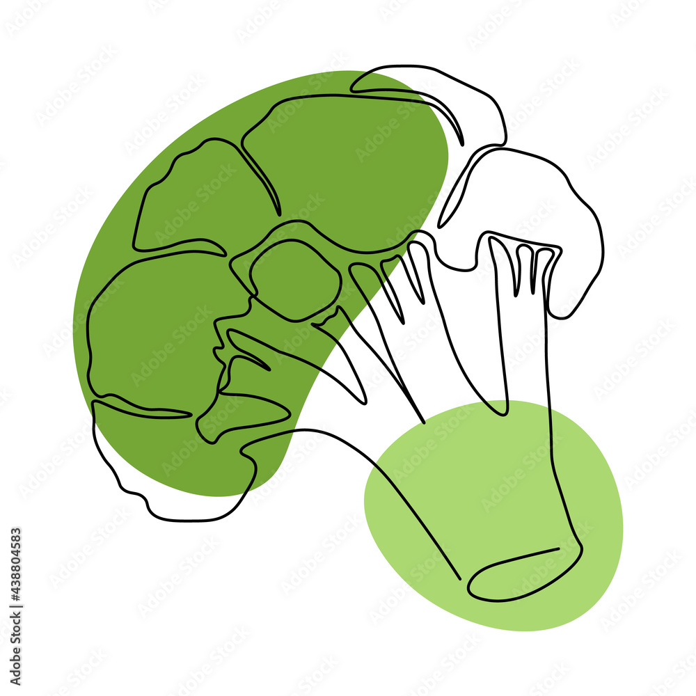 Continuous one line drawing broccoli. Vector illustration. Black line ...