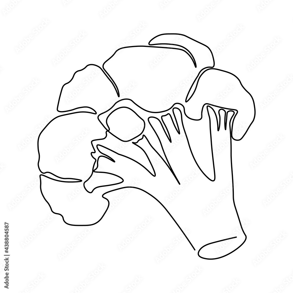Continuous one line drawing broccoli. Vector illustration. Black line ...