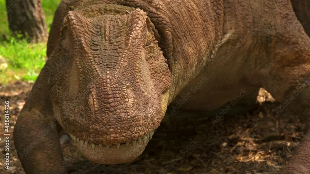 Allosaurus live dinosaur in the summer park among green trees. Breathes ...