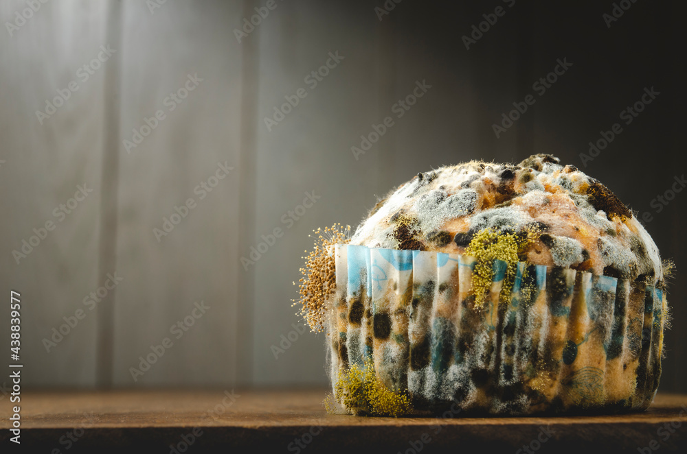 Macro or close-up. Moldy fungus on banana Cake. Fluffy spores mold ...