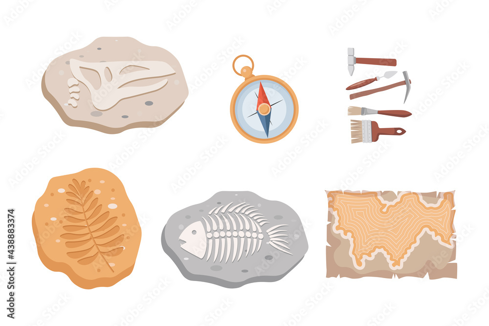 Fossil fish and dinosaurs skeletons and plants, compass, map, and ...