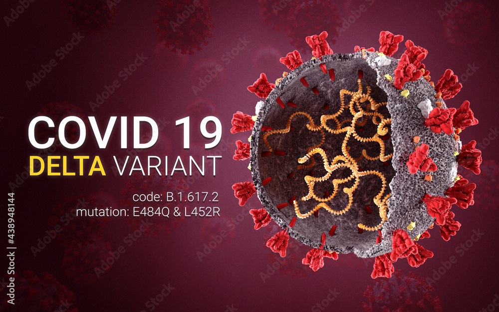 New coronavirus delta variant covid. India mutation of SARS CoV 2, 2019 ...