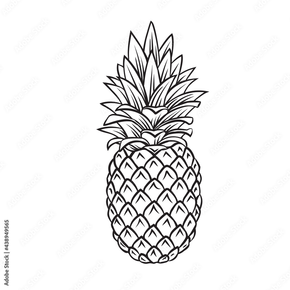 Pineapple tropical fruit outline vector icon, drawing monochrome illustration. Healthy nutrition ...
