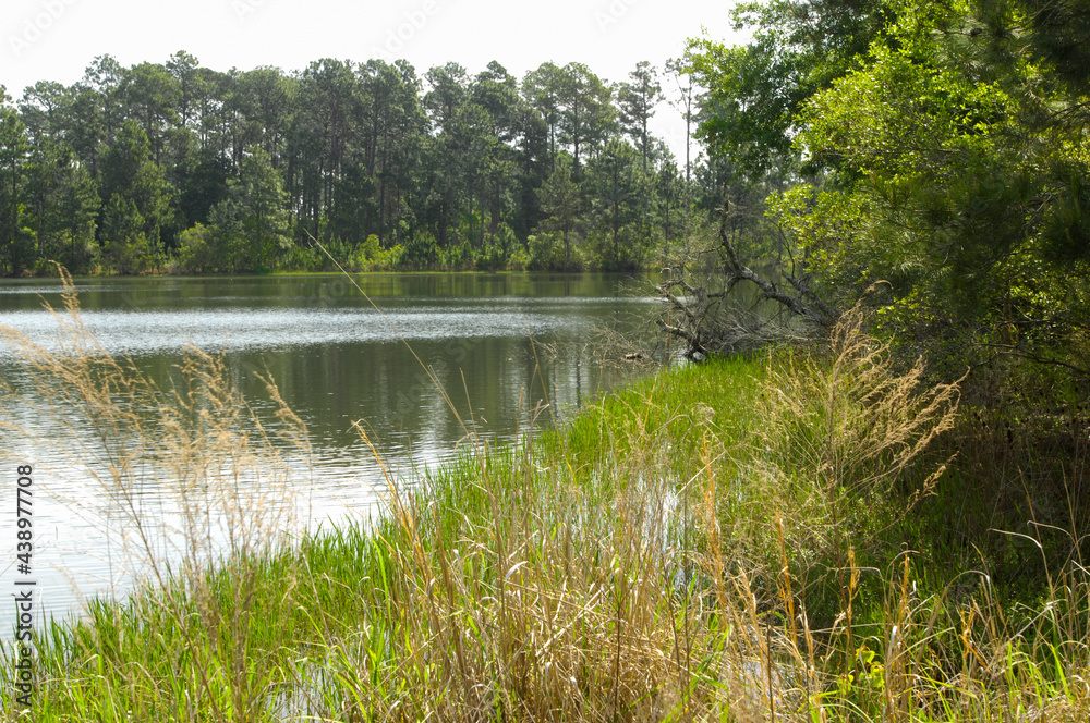 A pond with a natural shoreline of native grass and trees provides a ...
