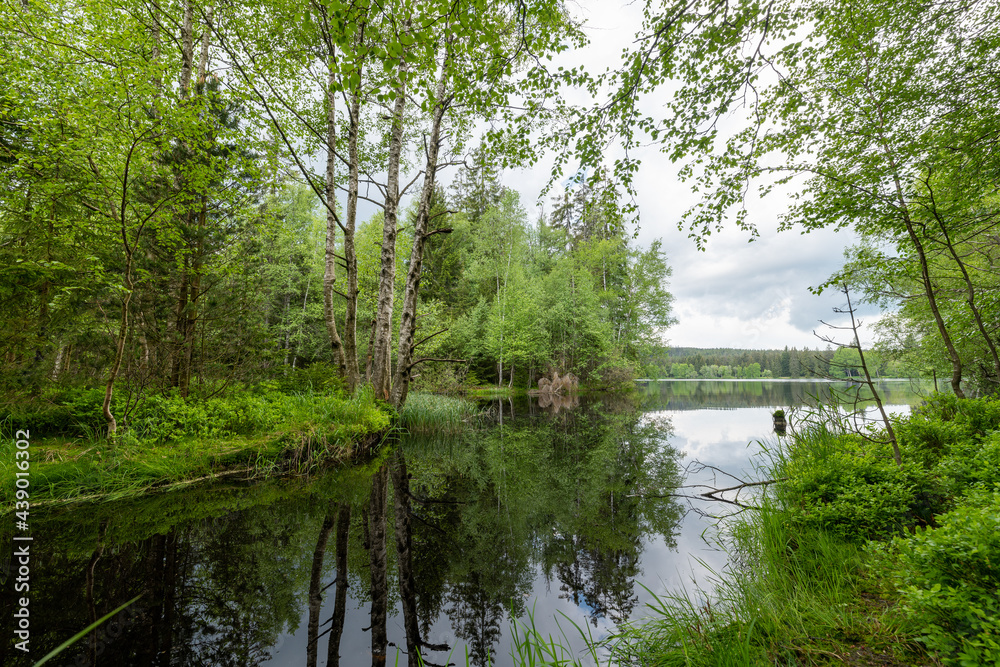 Educational Trail Kladska (Glatzen) - one of the oldest and largest ...