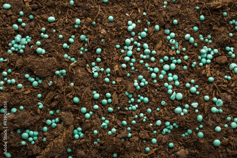 Green complex fertiliser granules on dark brown soil. Closeup. Product ...