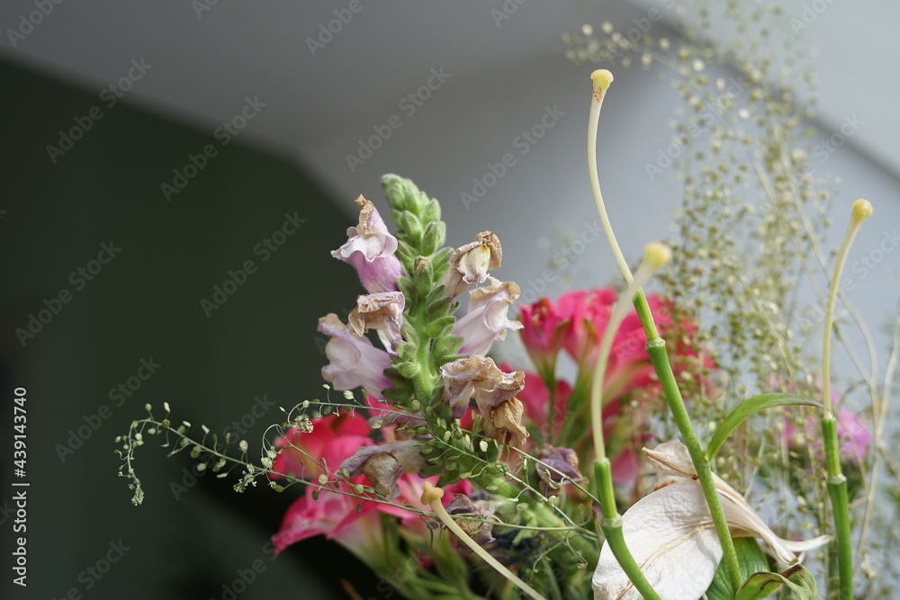 Almost faded bouquet with fanweed lily of the Incas a leftover stigma ...