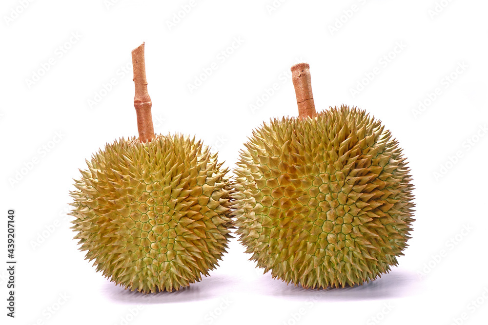 Durian the famous fruit from Thailand, it also known as The King of ...
