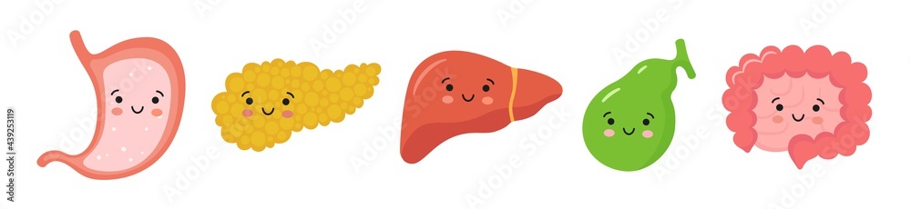 Organs of the gastrointestinal tract in kawaii style. Smiling stomach ...