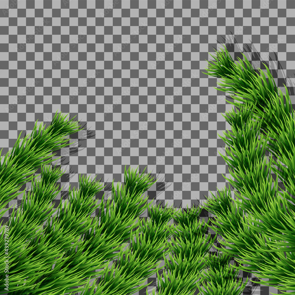 Vector illustration. Tree branch, fir-tree, wooden frame made of fir ...