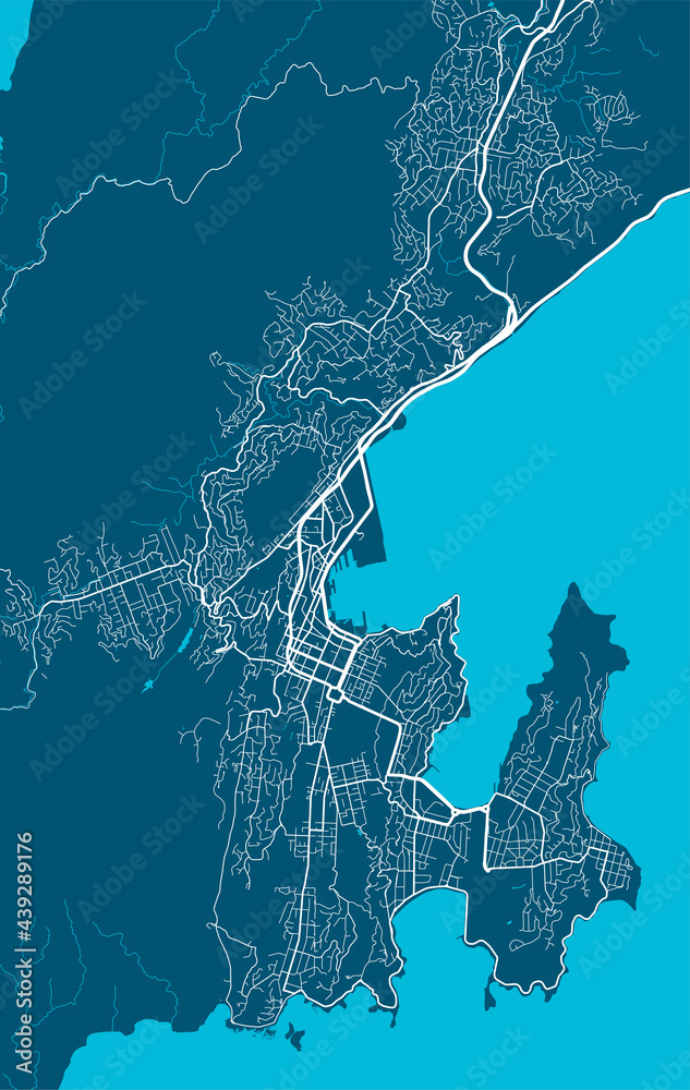 Detailed map of Wellington city, linear print map. Cityscape panorama ...